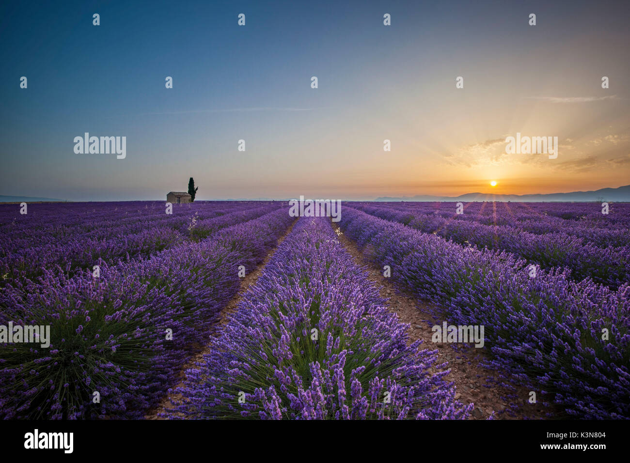 Sun raws hi-res stock photography and images - Alamy