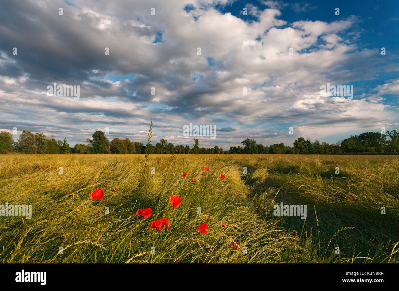 Torre Pallavicina, Oglio north park, Bergamo province, Lombardy, Italy ...