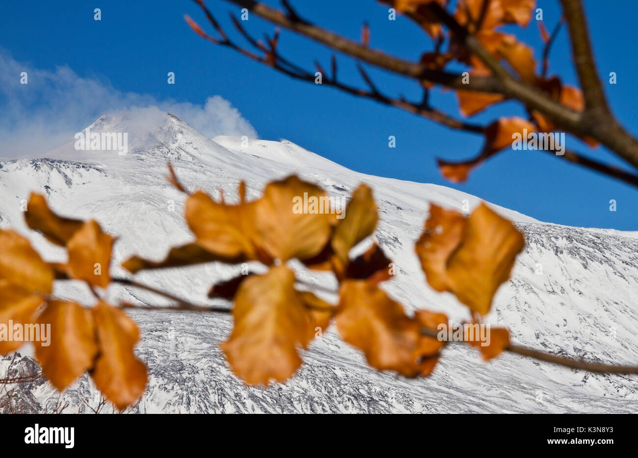 Bove Valley and the summit craters of Etna, sicily Stock Photo - Alamy