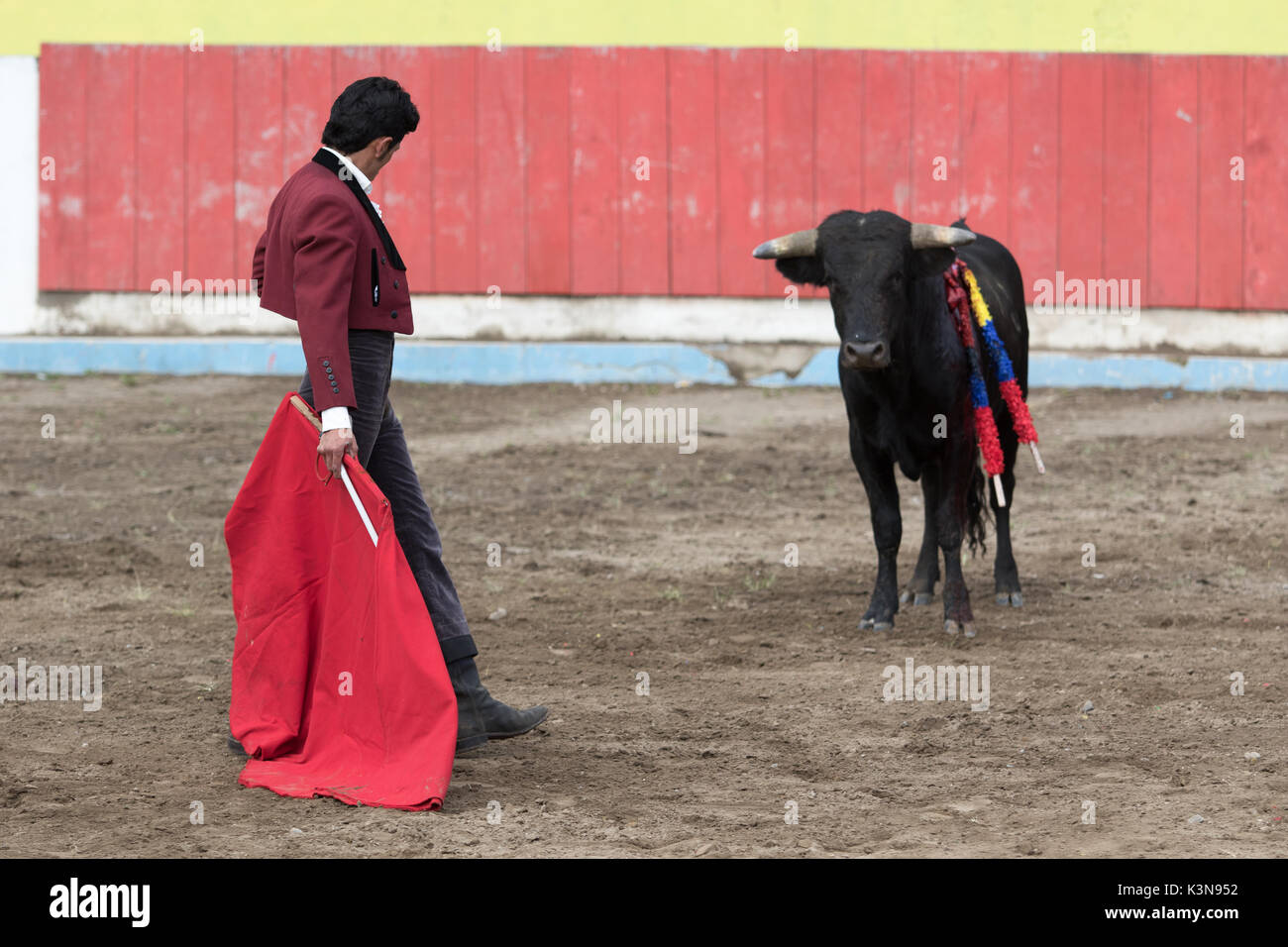 Bullfighter challenging bull hi-res stock photography and images - Alamy