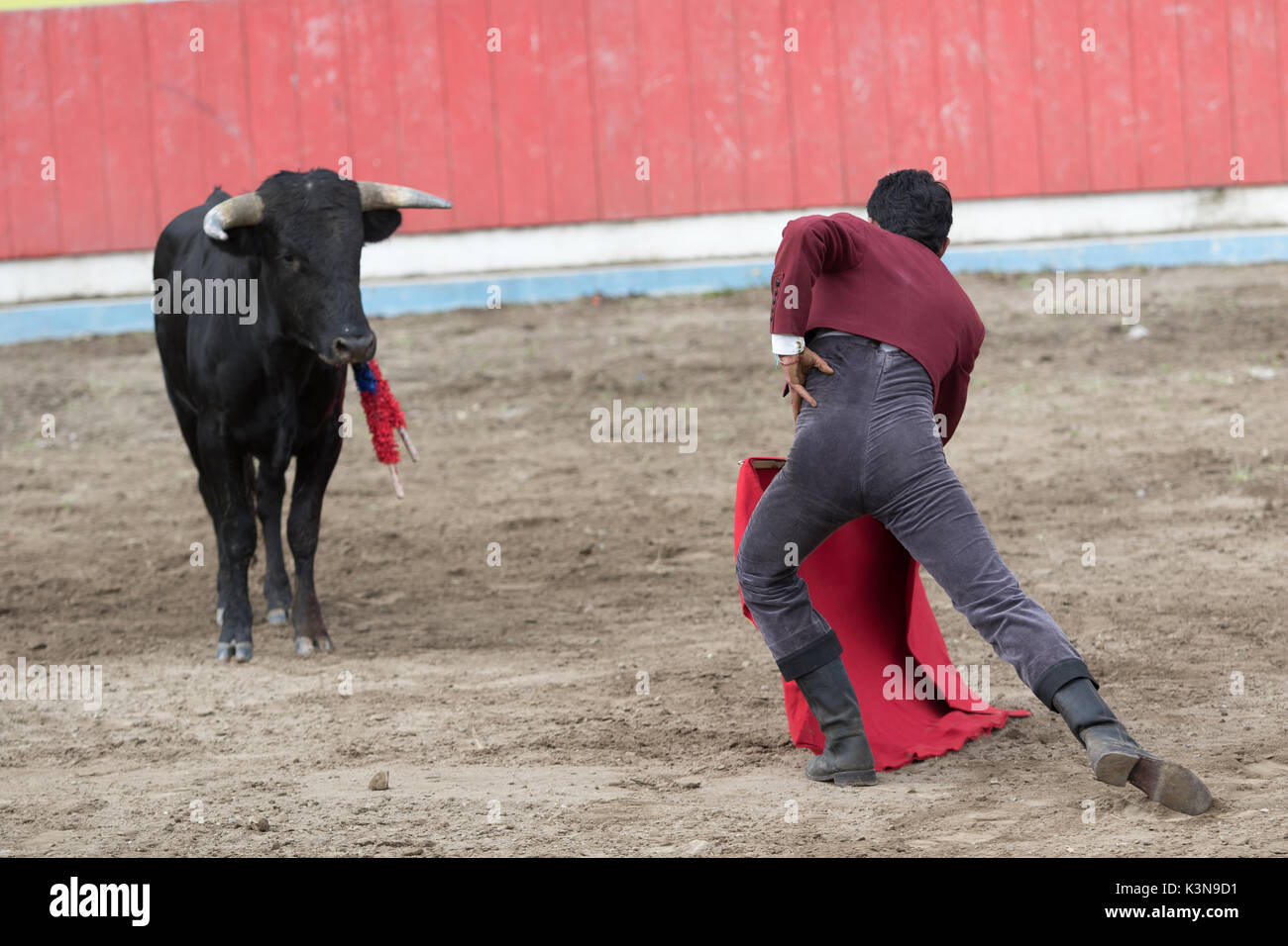 Bullfighter challenging bull hi-res stock photography and images - Alamy