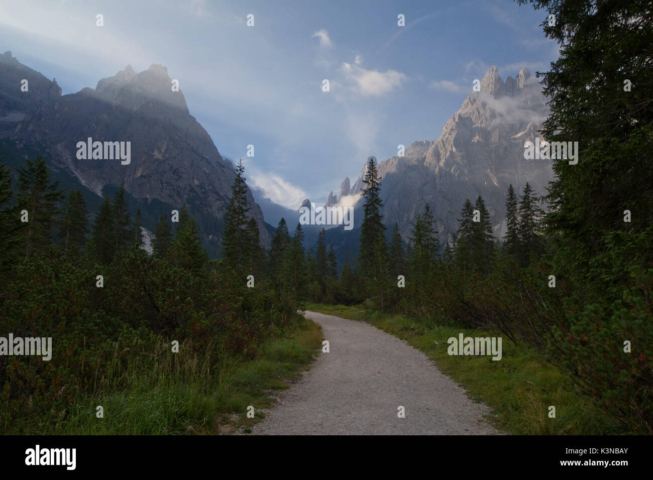 The hiking trail in Fischleinvalley running through a fir forest to the ...