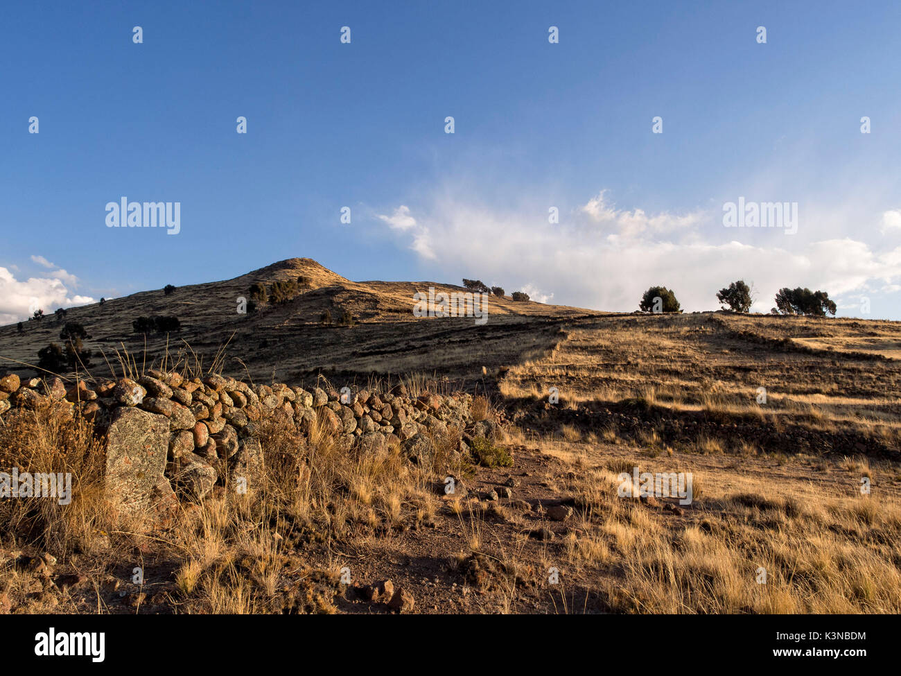 Altiplano plateau hi-res stock photography and images - Alamy