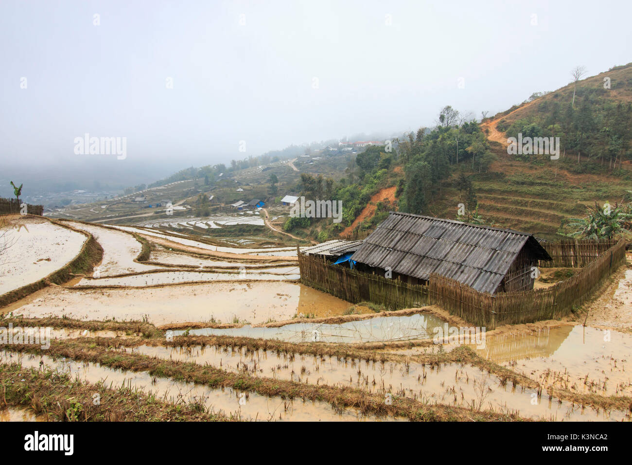 Mountain Rice Patties