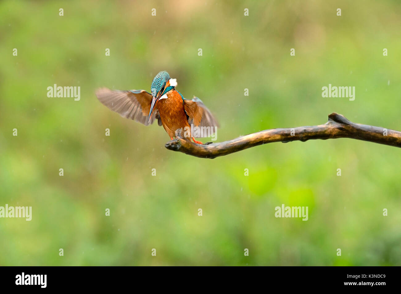 Quinto river hi-res stock photography and images - Alamy