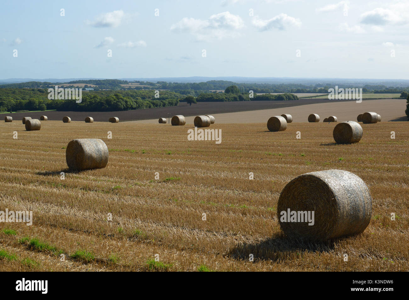 Round hay bails in a West Sussex farm field during Summer Stock Photo ...