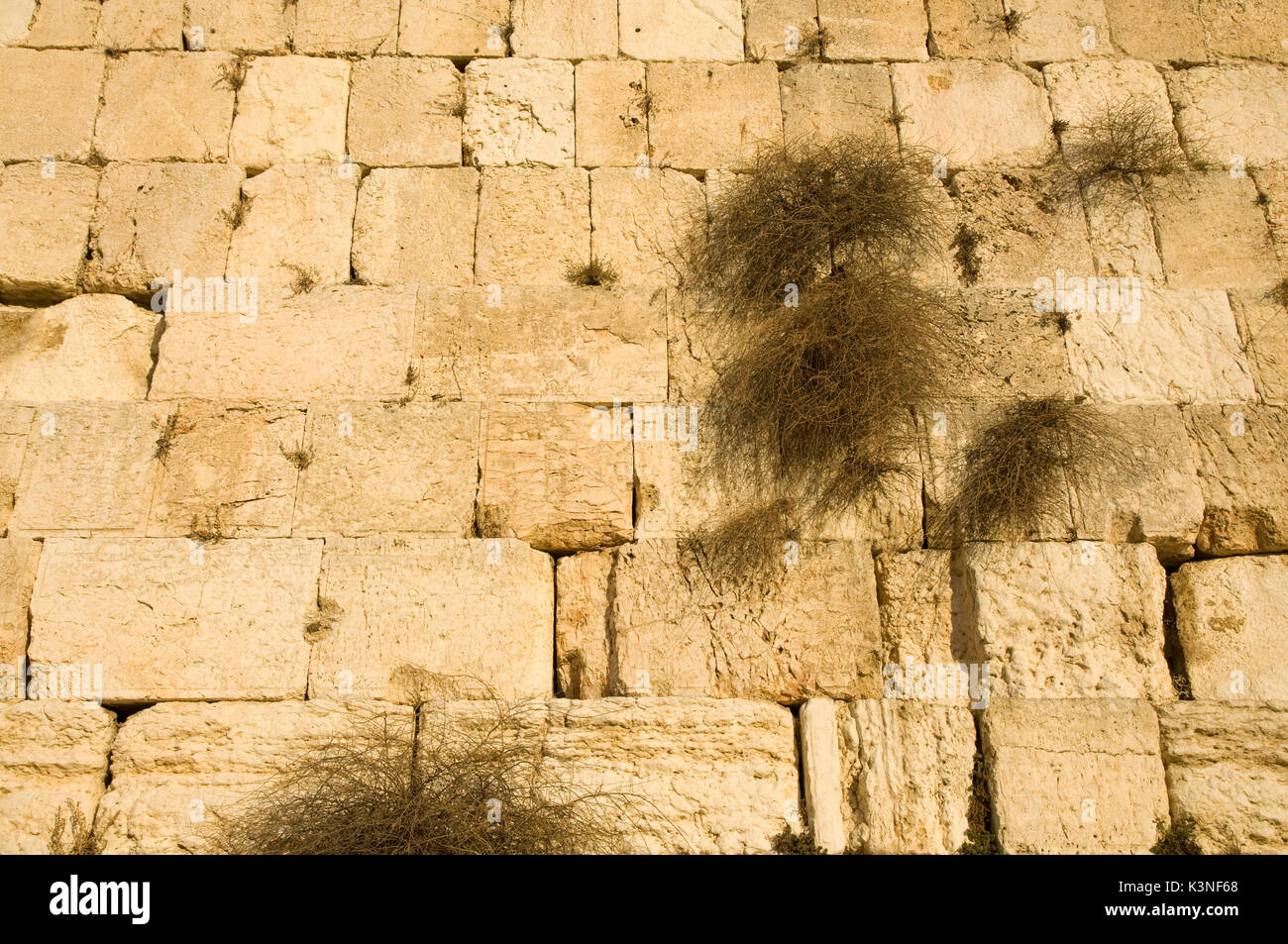 Western Wall, Jerusalem old city Stock Photo - Alamy