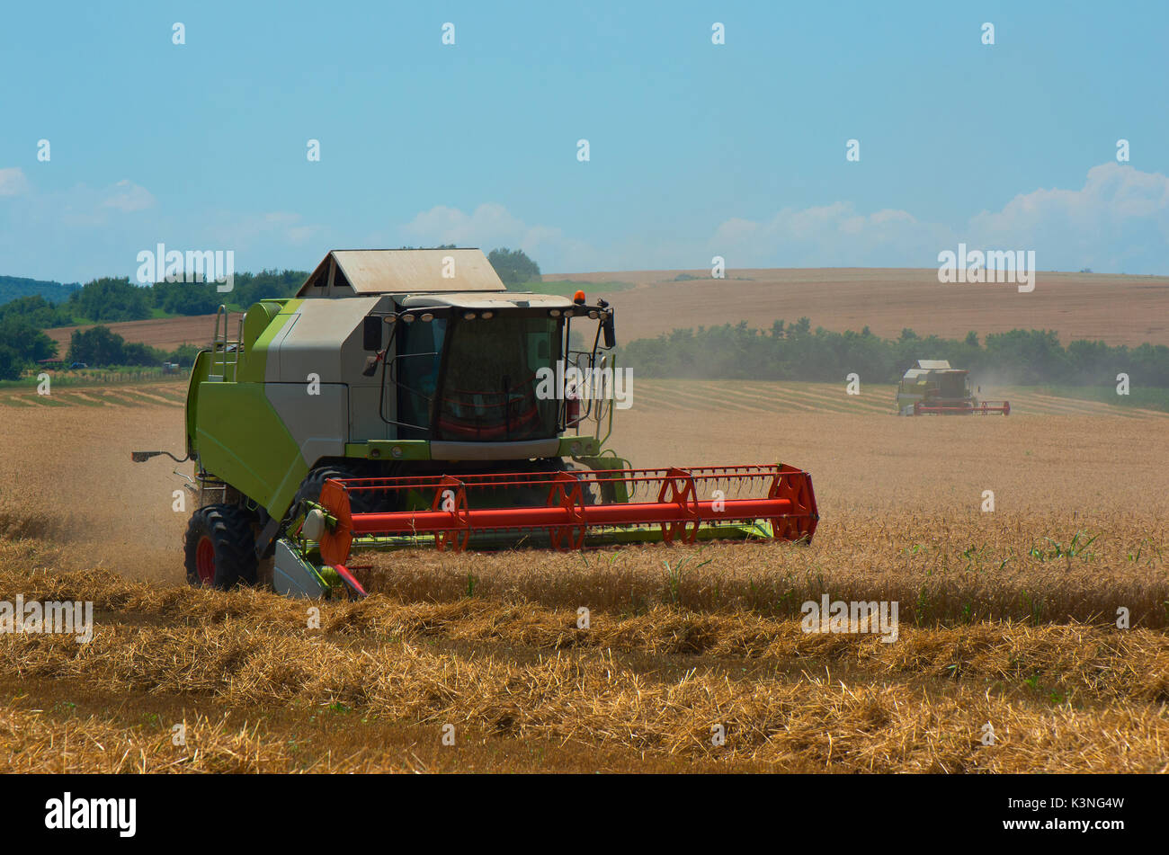 Grain harvesting with combine harvester Stock Photo - Alamy