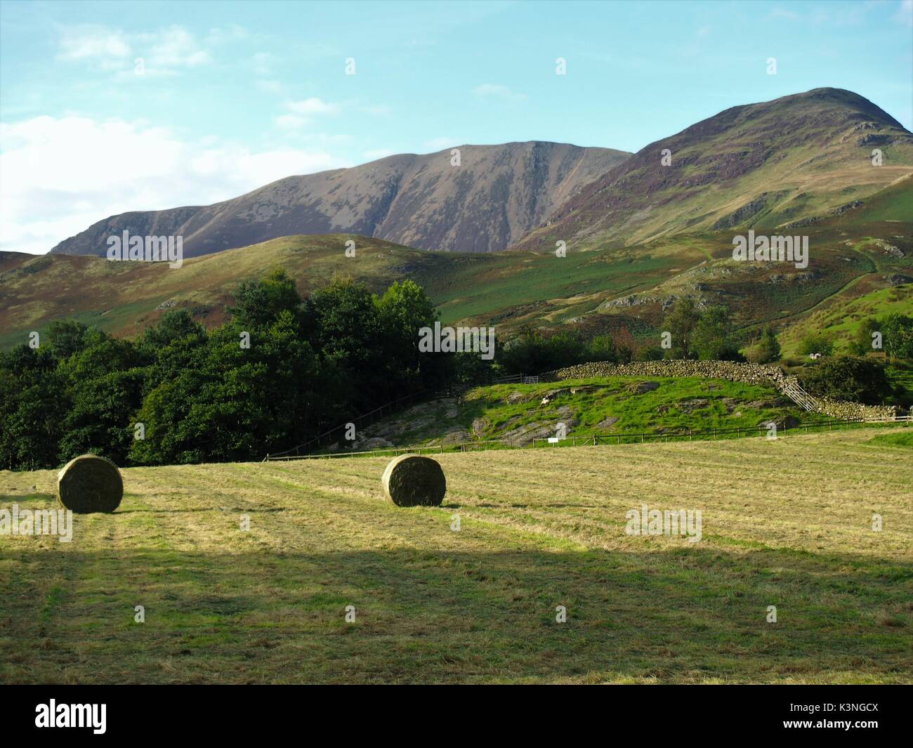 Bales mountain national park hi-res stock photography and images - Alamy