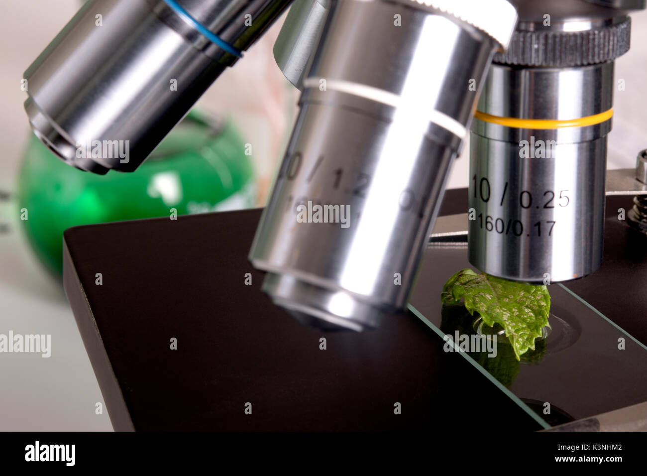 Pathology specimen hi-res stock photography and images - Alamy