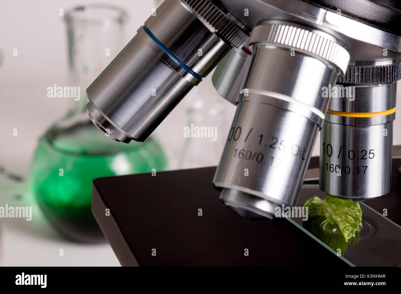Pathology lab hi-res stock photography and images - Alamy