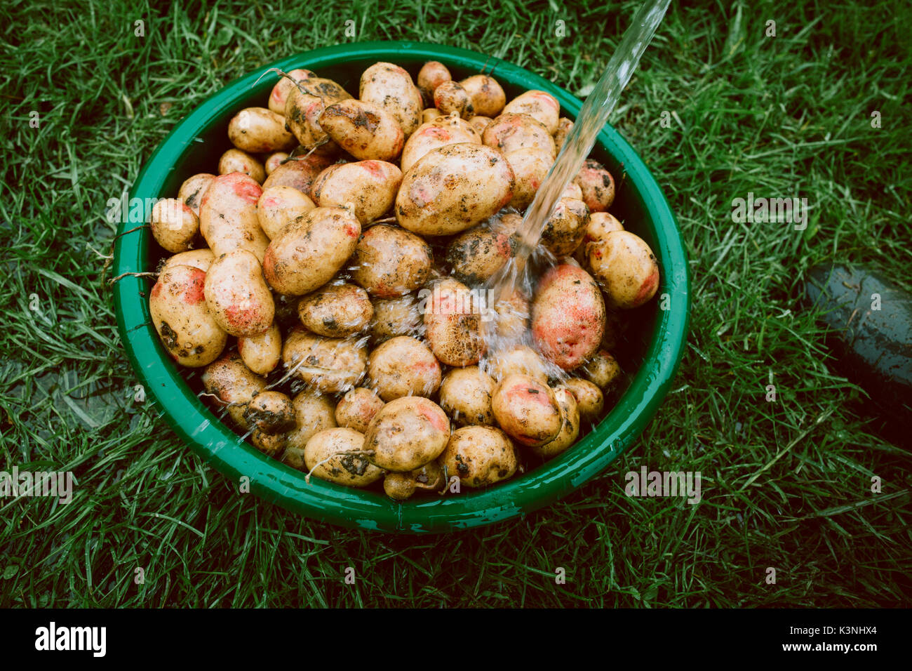 Muddy vegetables hi-res stock photography and images - Alamy