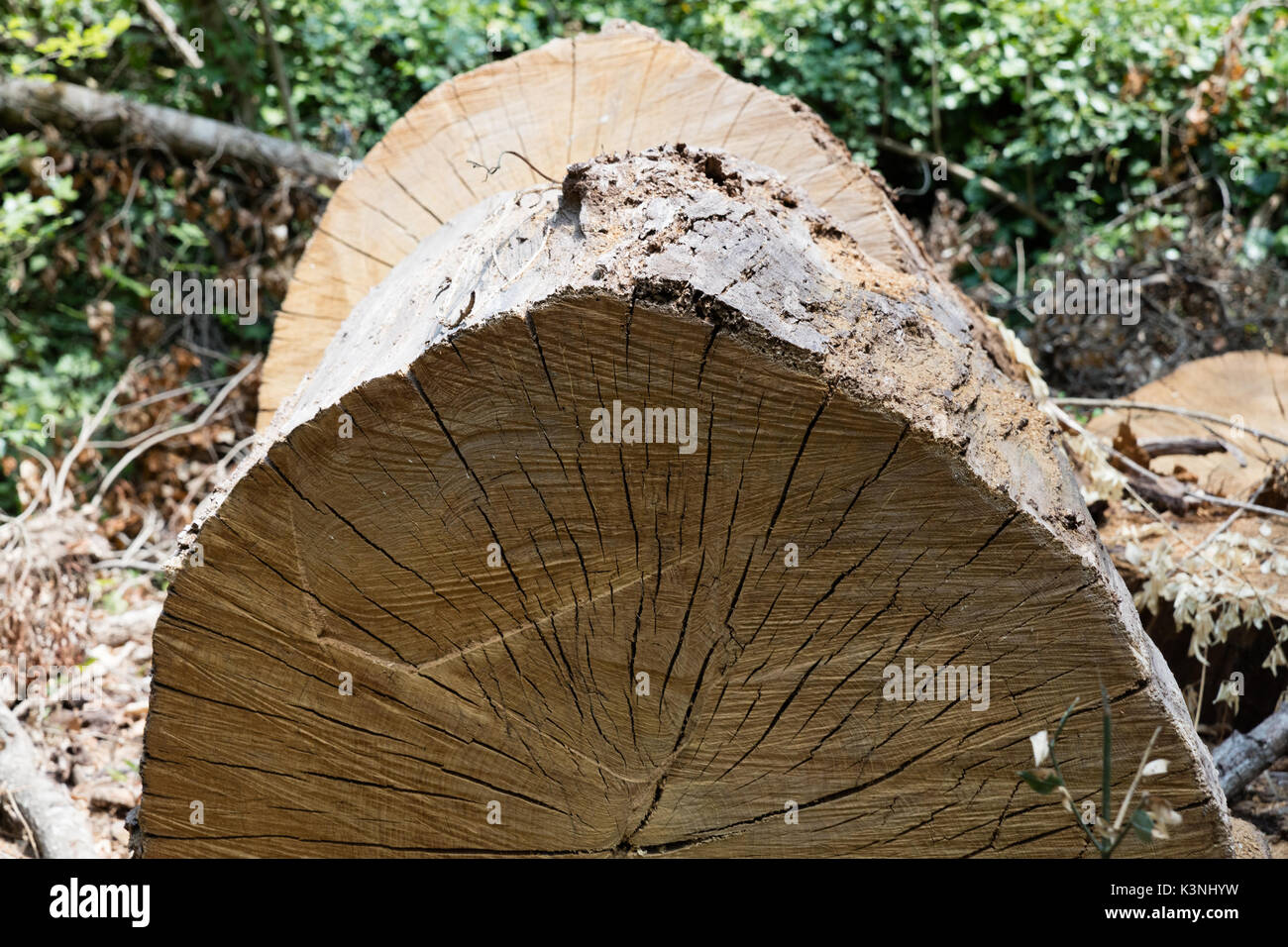 Yexture hi-res stock photography and images - Alamy