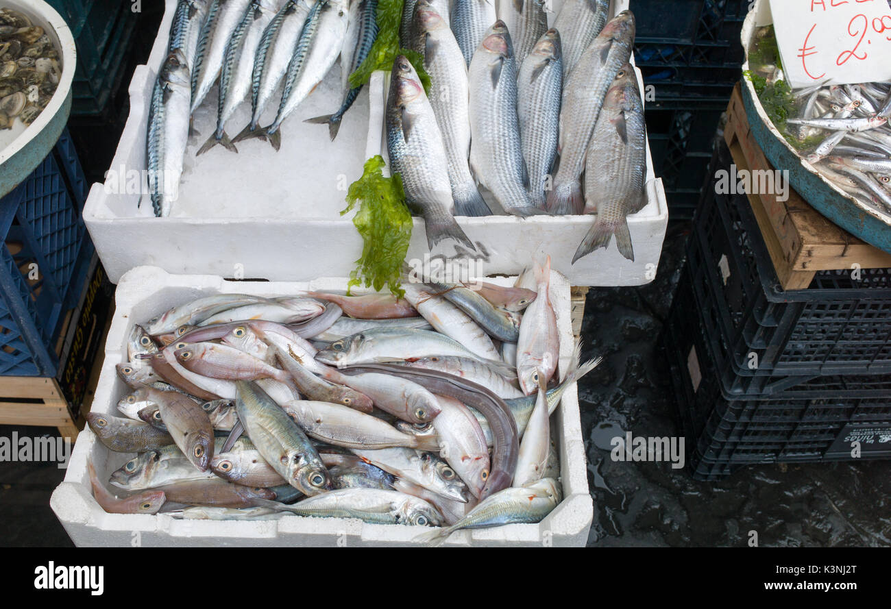 Mediterranean fish exposed in open market in Napoli Stock Photo - Alamy