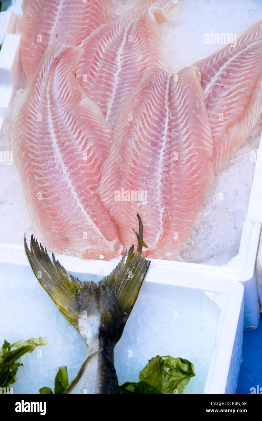 Pangasio hi-res stock photography and images - Alamy