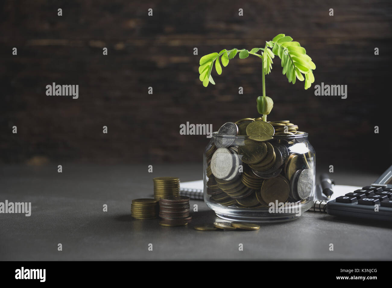 Young green plant with stack coin on ground for growing business ...