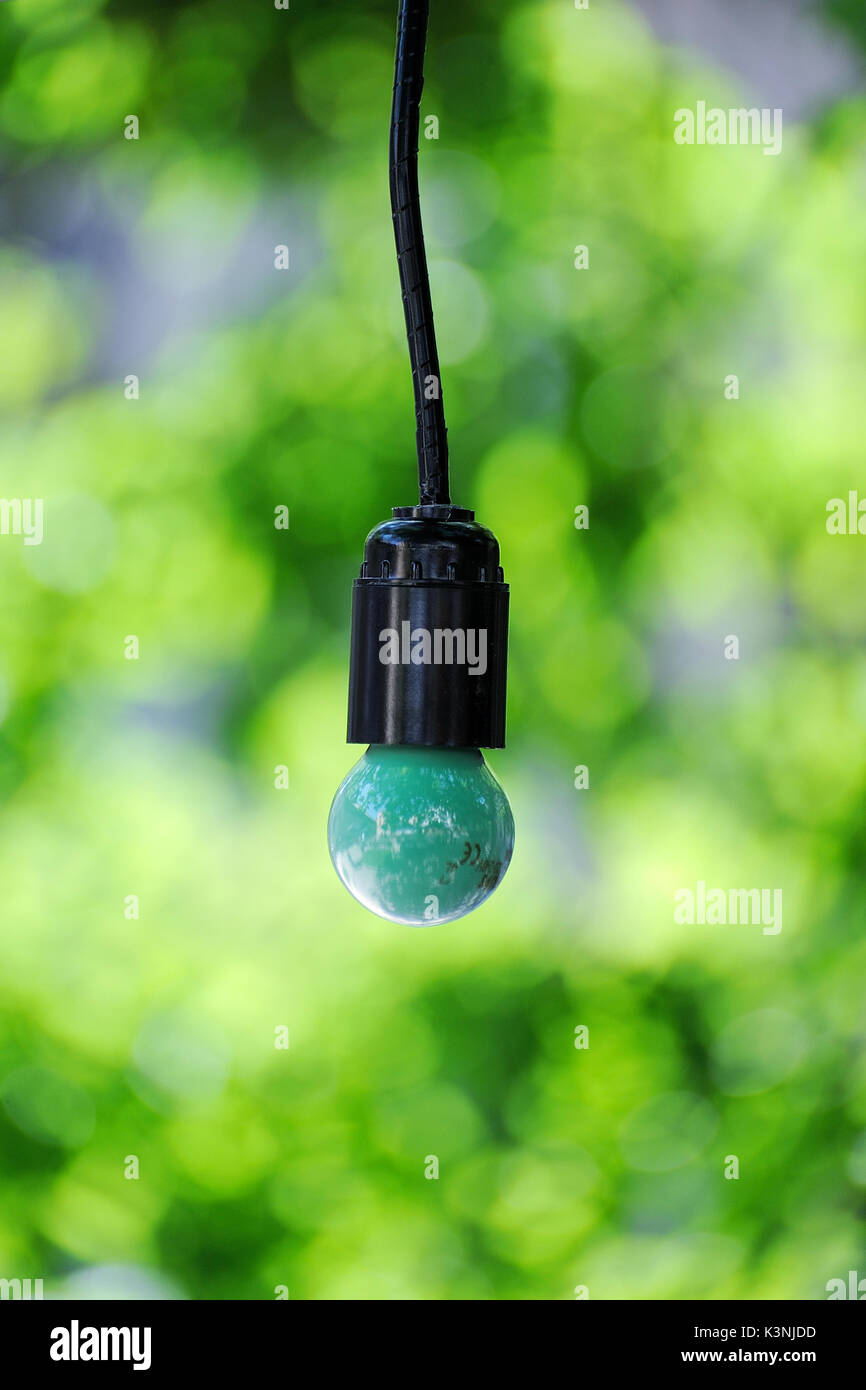 colored light bulbs hanging from a tree Stock Photo - Alamy