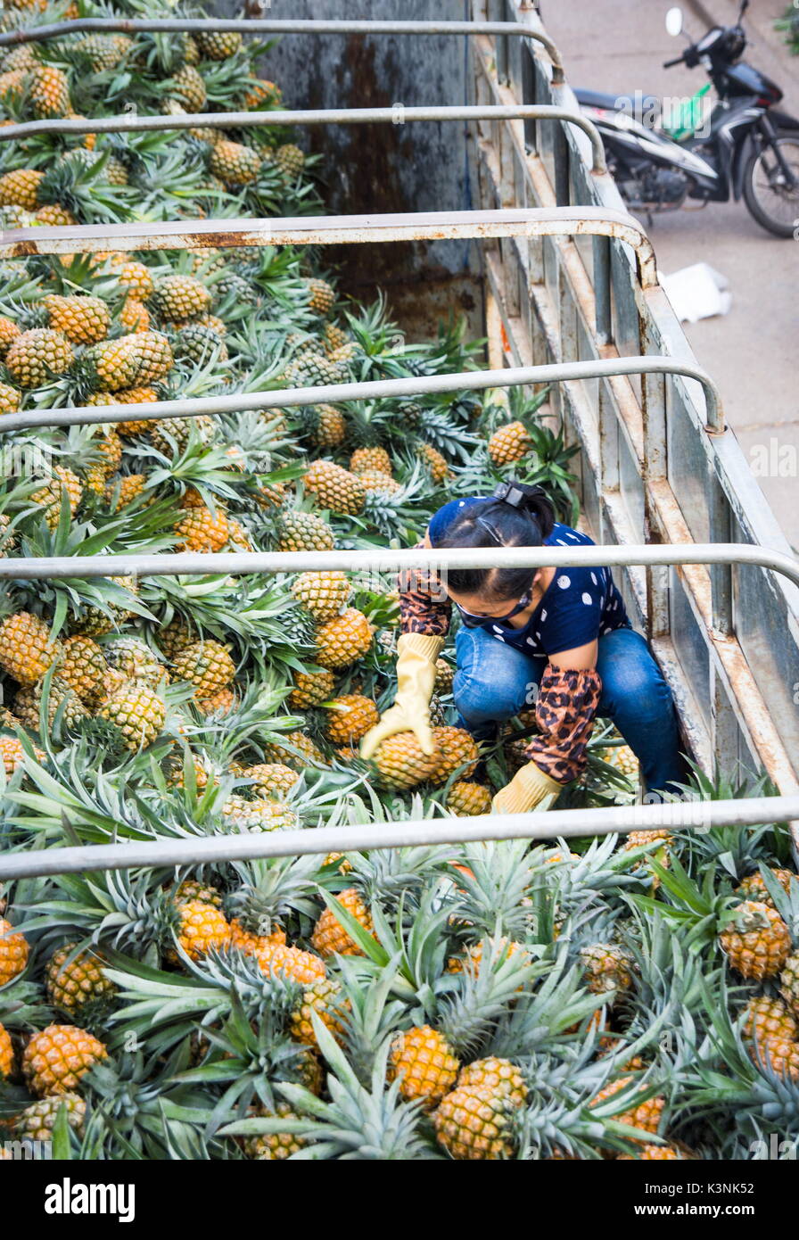 Pineapple transport hi-res stock photography and images - Alamy