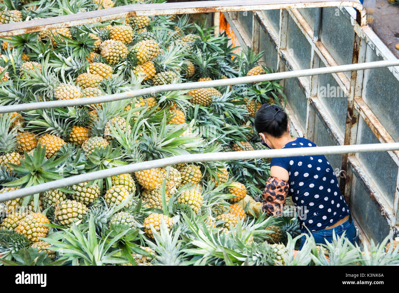 Cargo pineapple hi-res stock photography and images - Alamy