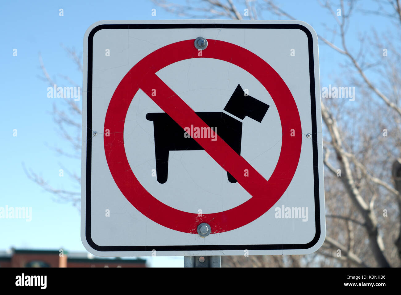 Dog prohibited sign hi-res stock photography and images - Alamy