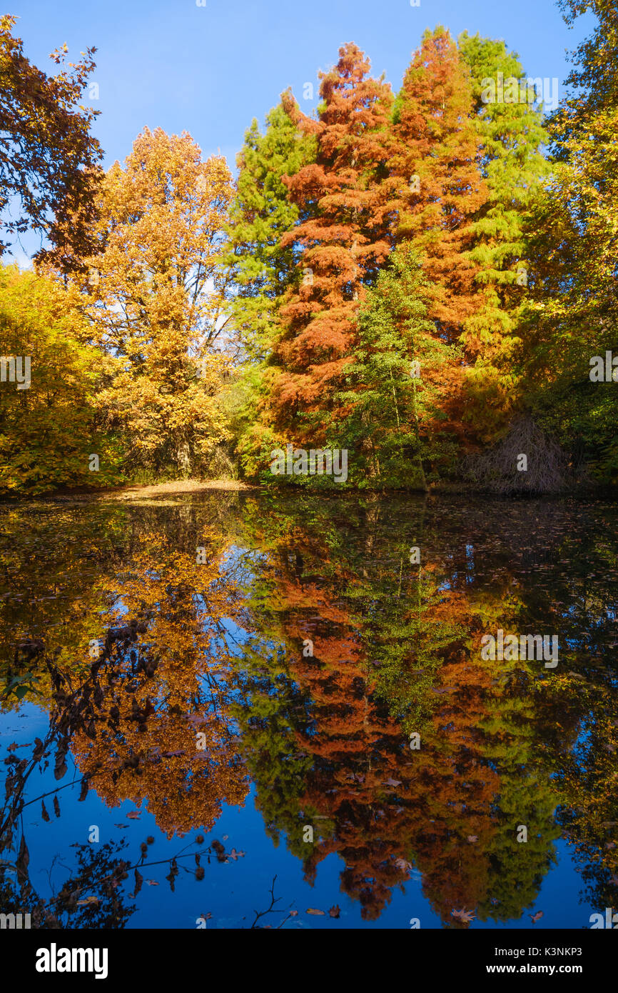 Autumn Landscape. Park in Autumn Stock Photo - Alamy