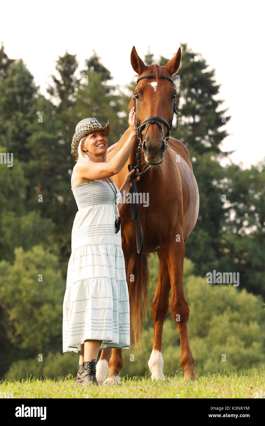 Woman caress her horse on meadow Stock Photo - Alamy