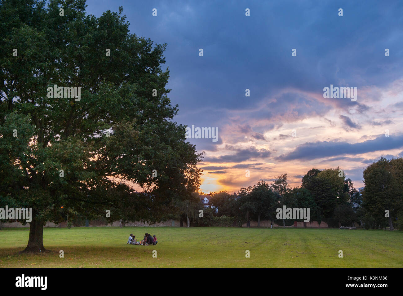 London family park lifestyle hi-res stock photography and images - Alamy