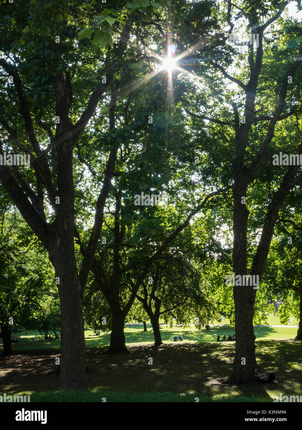 Bright sunny late afternoon sunshine hi-res stock photography and ...