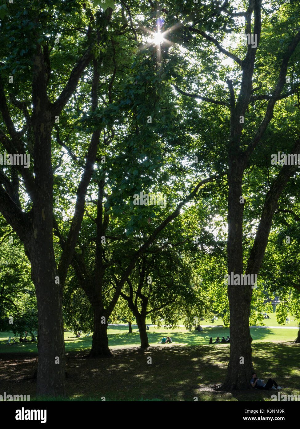 Bright sunny late afternoon sunshine hi-res stock photography and ...