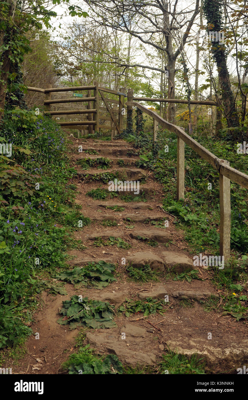 Country walking magazine hi-res stock photography and images - Alamy