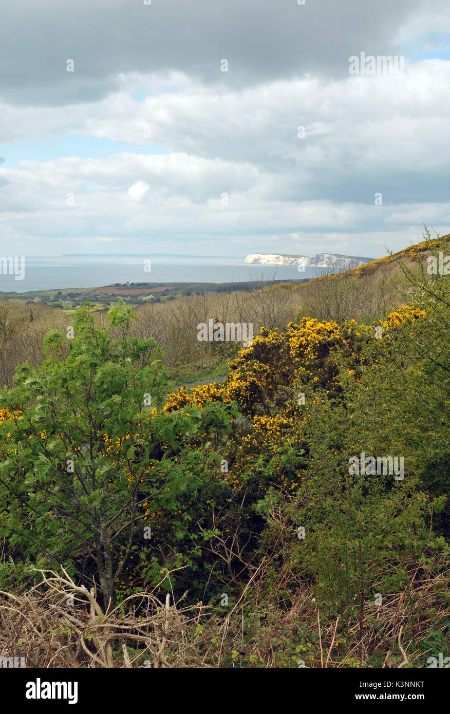 The views from brook and brighstone downs on the Isle of Wight looking ...