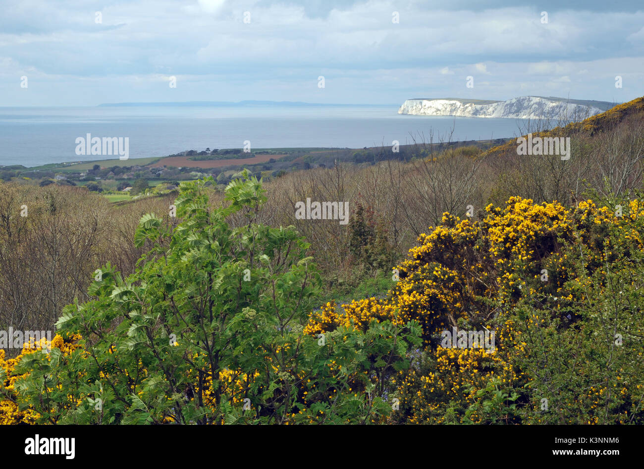 The views from brook and brighstone downs on the Isle of Wight looking ...