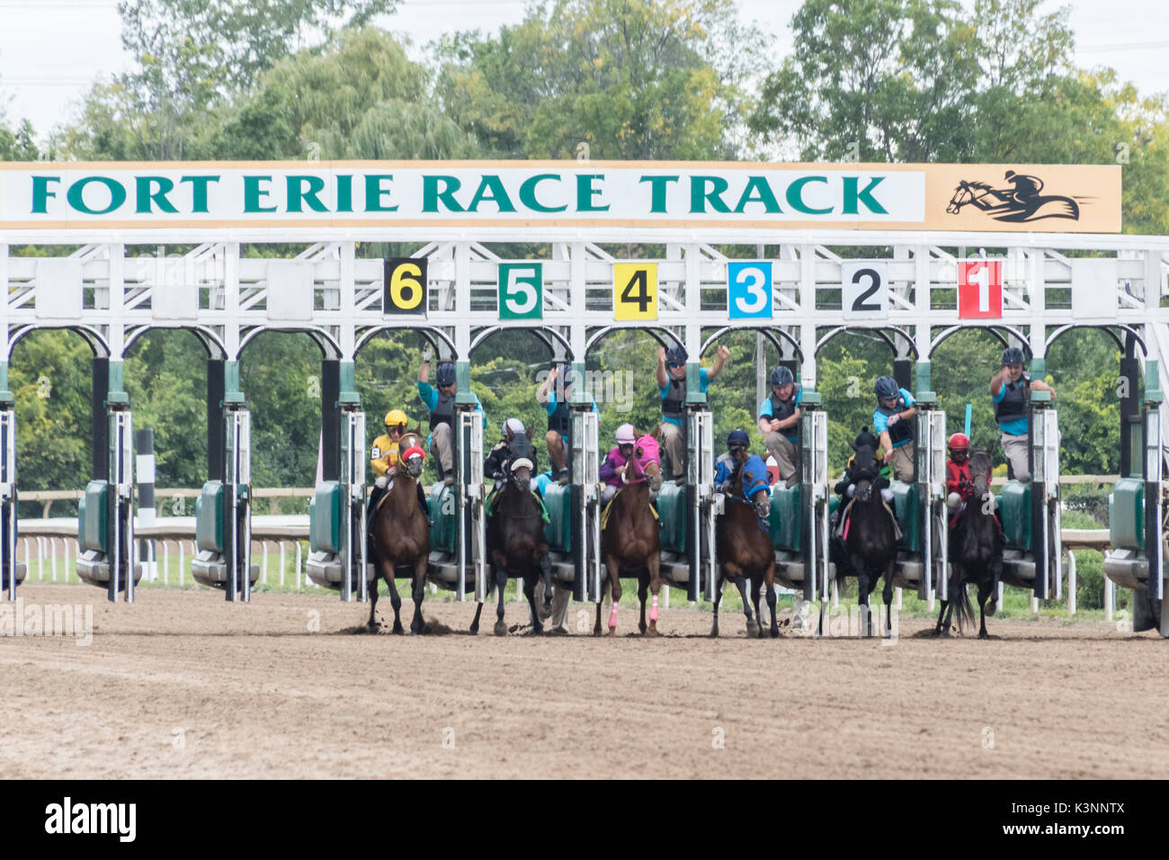 Horse race track finish hi-res stock photography and images - Alamy