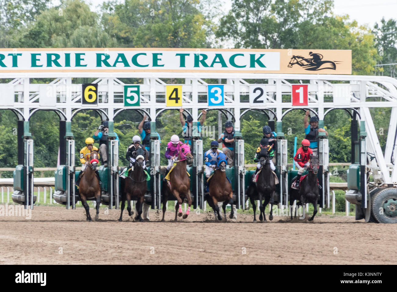 Thoroughbred Horse Racing Stock Photo - Alamy