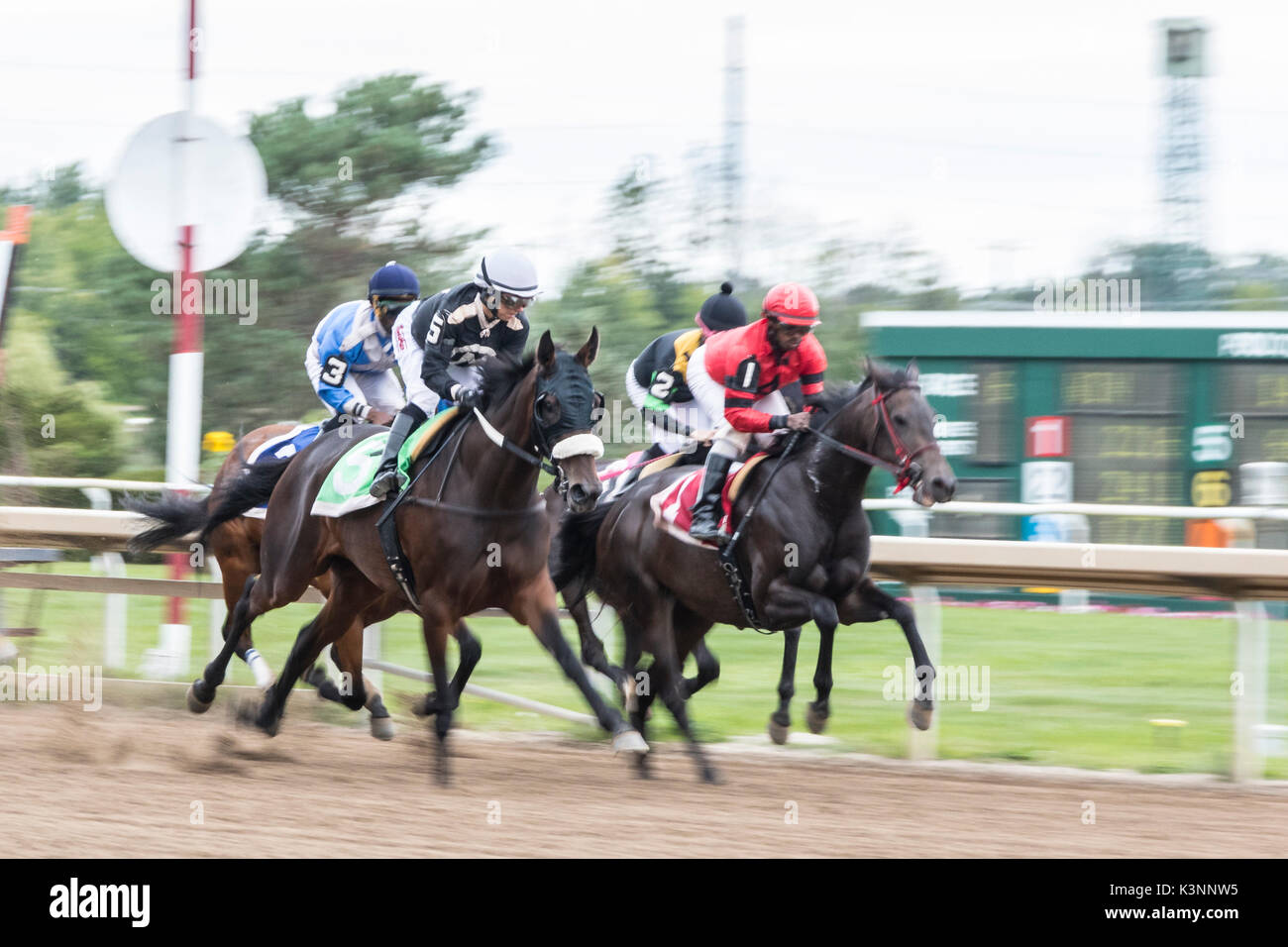 Thoroughbred Horse Racing Stock Photo - Alamy