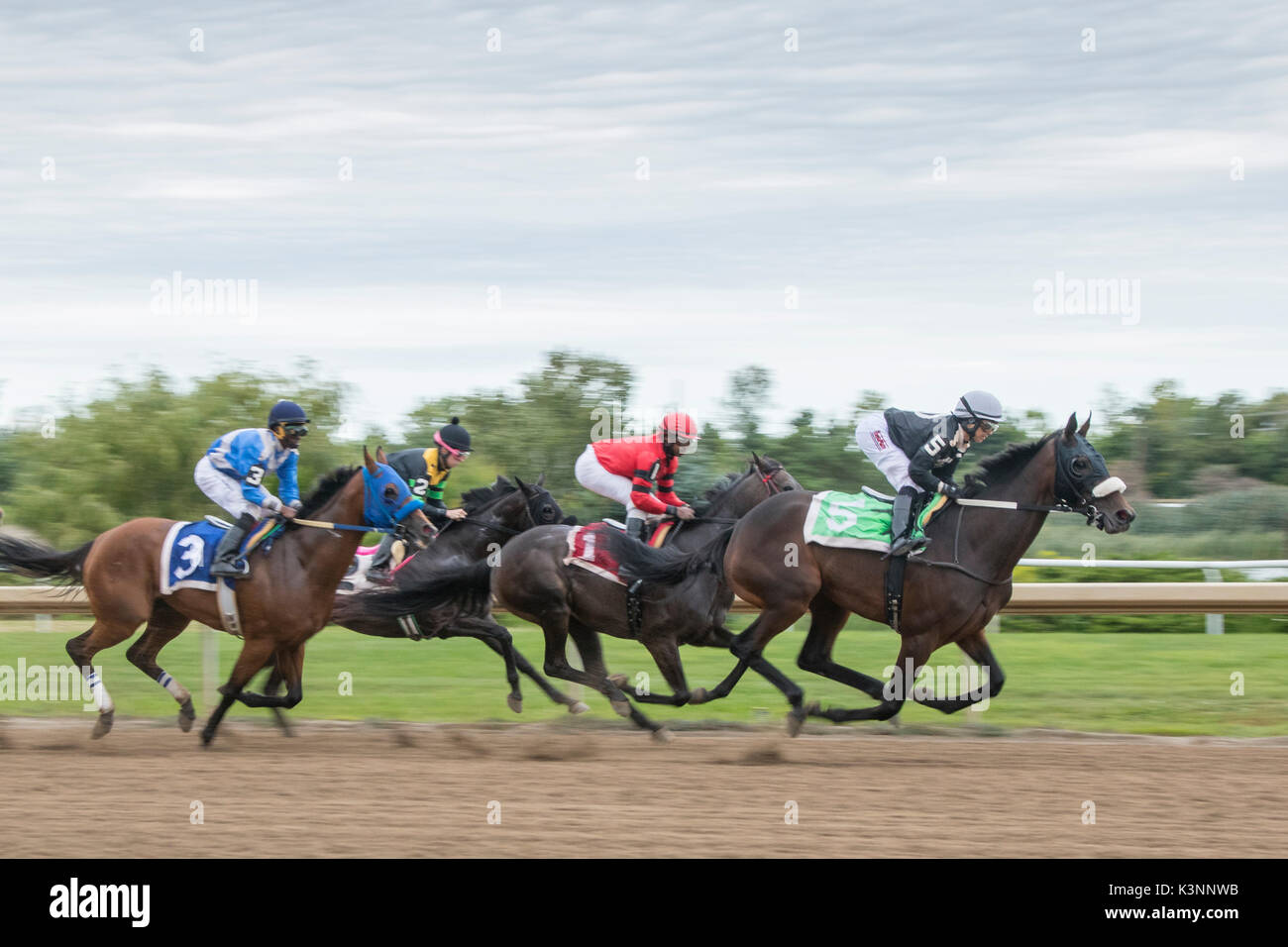 Black thoroughbred horse running hi-res stock photography and images ...