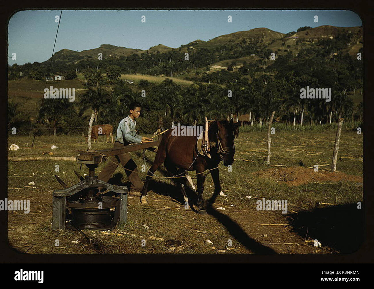 1940s Puerto Rico High Resolution Stock Photography and Images - Alamy