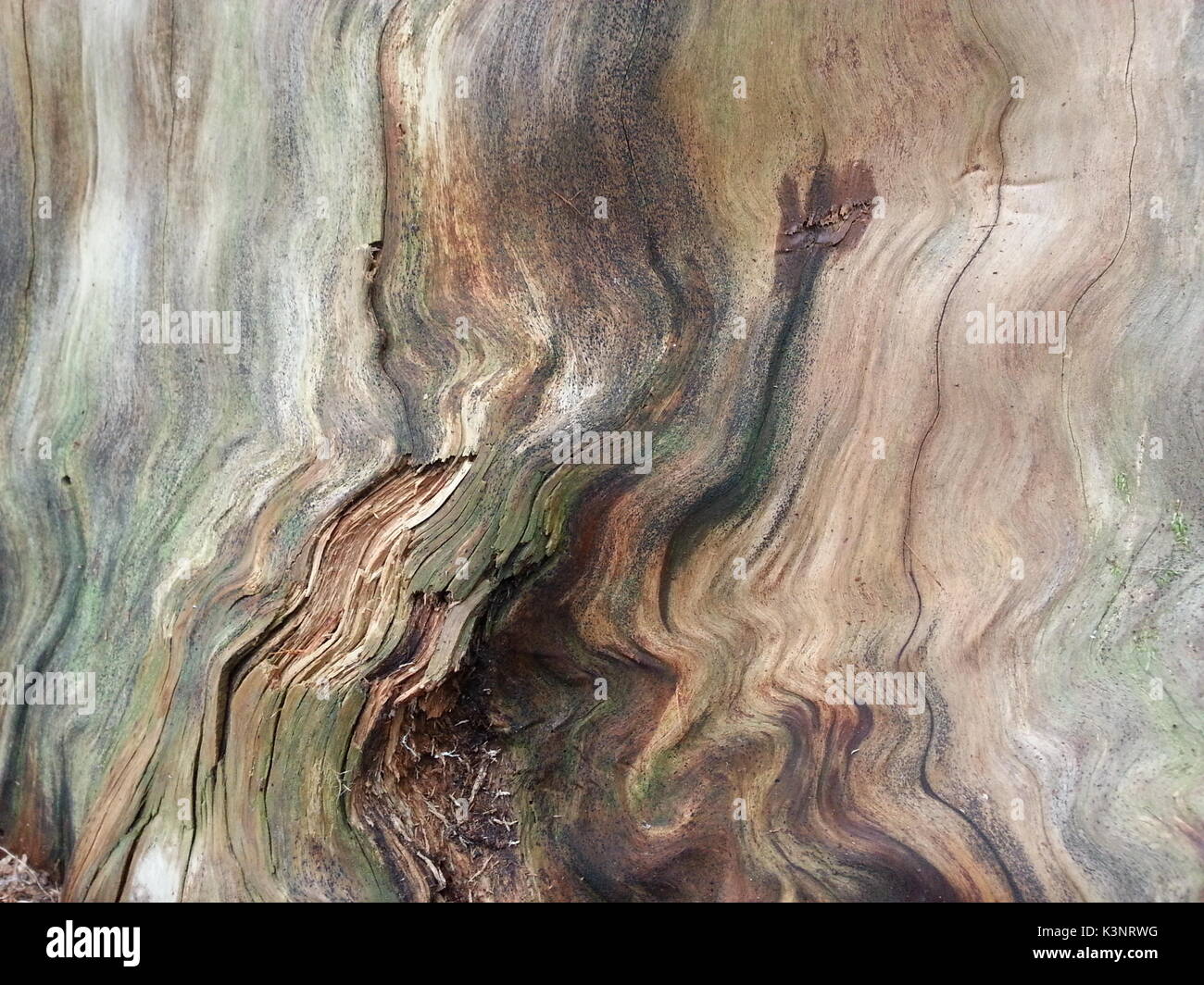Intricate texture of hi-res stock photography and images - Alamy