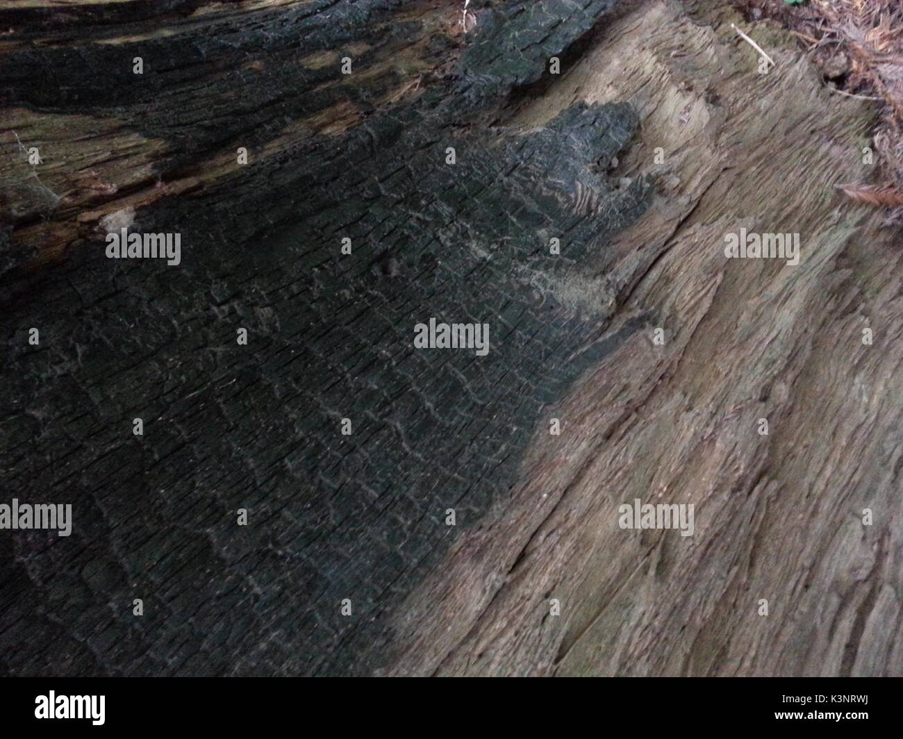 Lightning Wood Texture Stock Photo - Alamy
