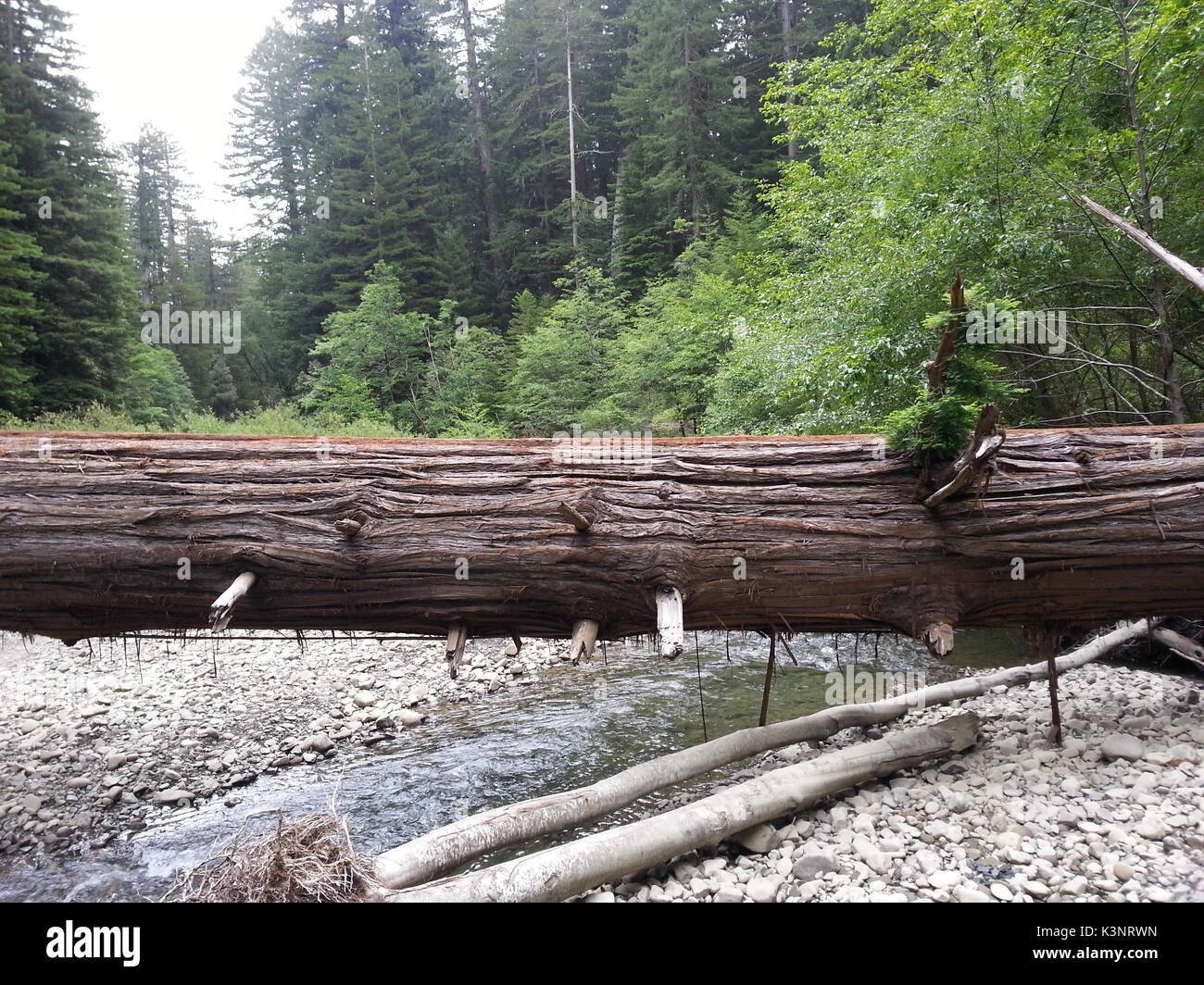 River Crossing Log Stock Photo - Alamy