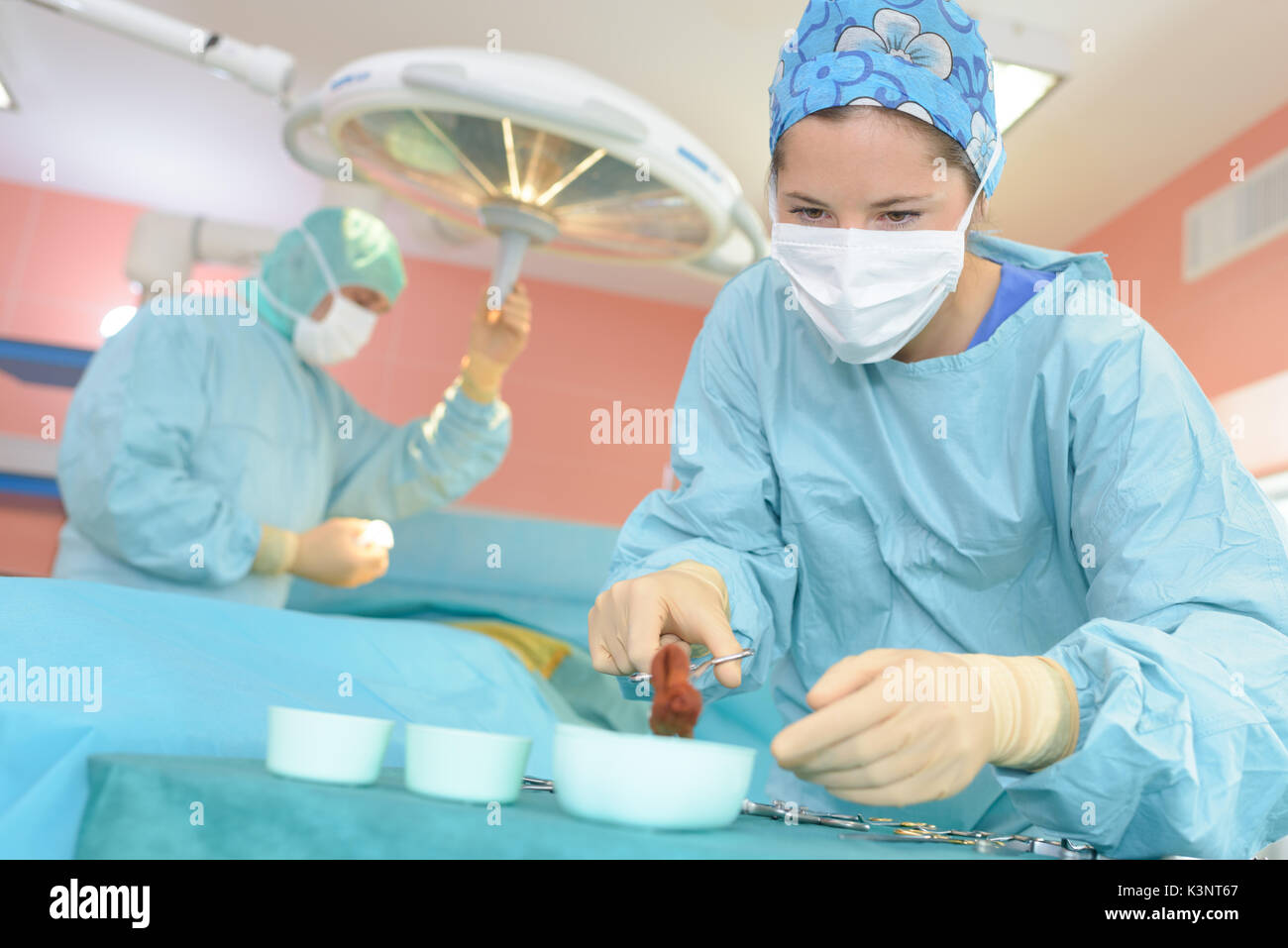 removing an organ from the body Stock Photo - Alamy