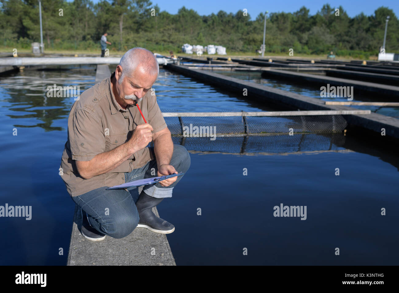 man working at a fish factory Stock Photo - Alamy