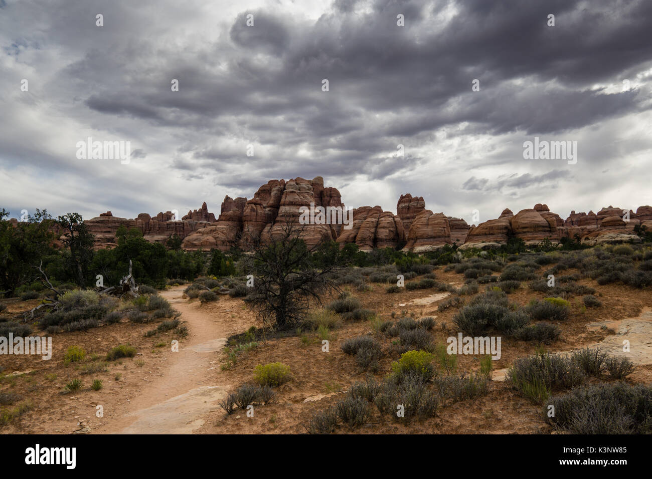 The Needles District of Canyonlands National Park Stock Photo - Alamy