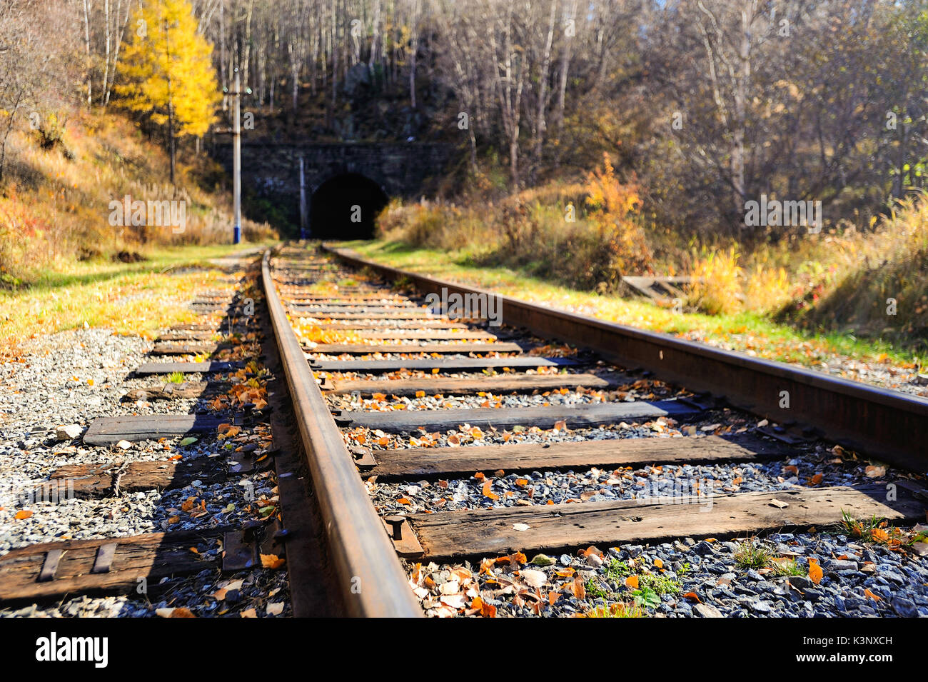 Railway track with fall leaves and tunel background Stock Photo - Alamy