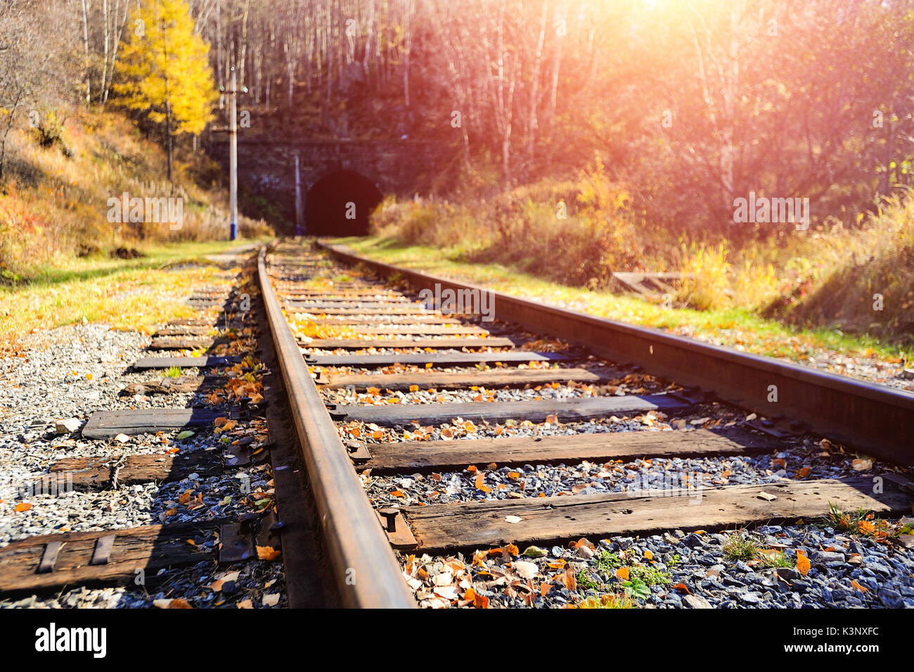 Railway track with fall leaves and tunel background Stock Photo - Alamy