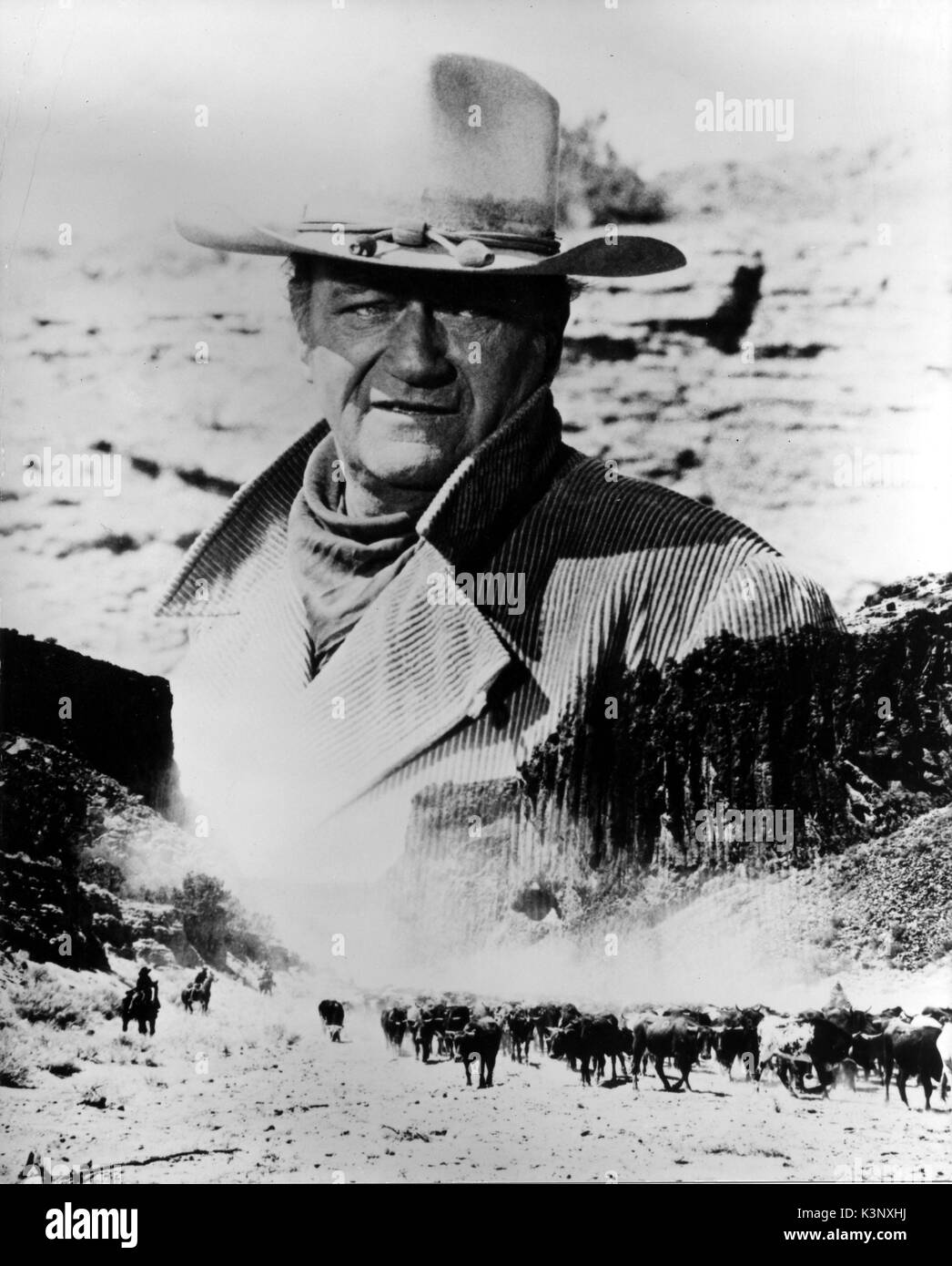 THE COWBOYS [US 1972] JOHN WAYNE Date: 1972 Stock Photo - Alamy