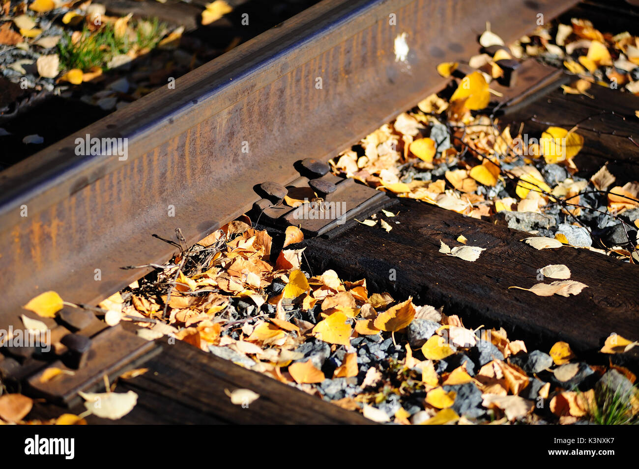 Train track fall leaf hi-res stock photography and images - Alamy