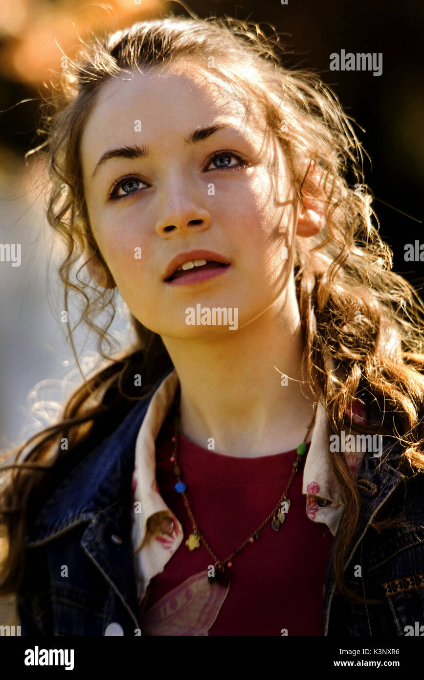 Sarah bolger spiderwick chronicles hi-res stock photography and images ...