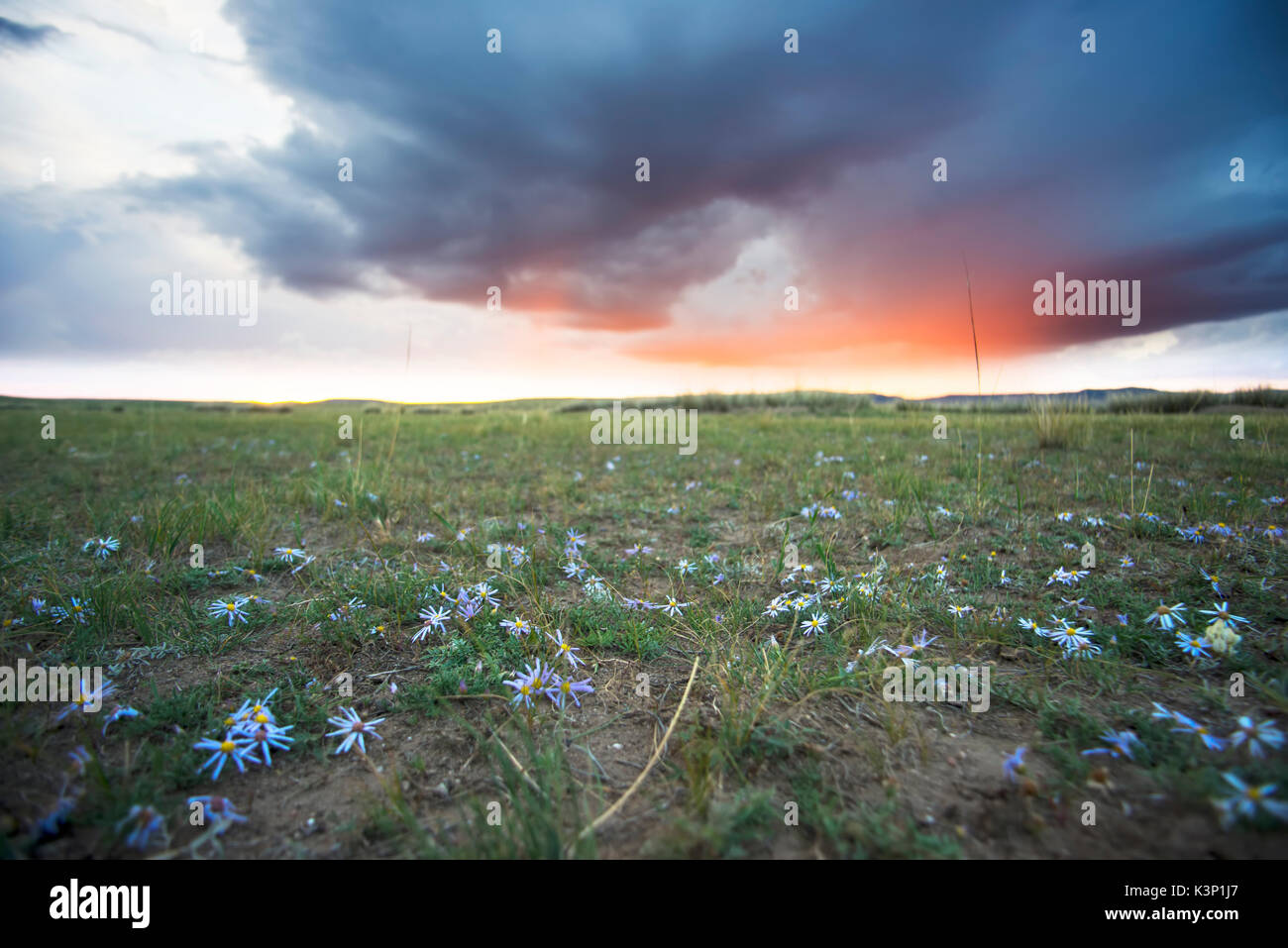 Natural sunset sunrise over field. Bright dramatic sky over ground ...
