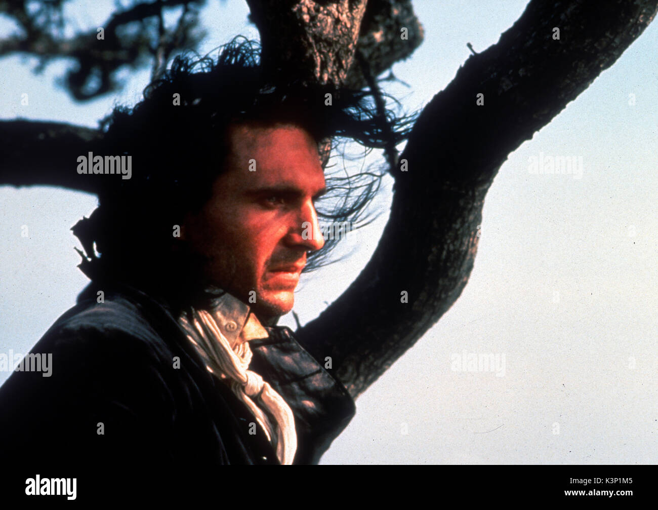 Heathcliffe wuthering heights hi-res stock photography and images - Alamy